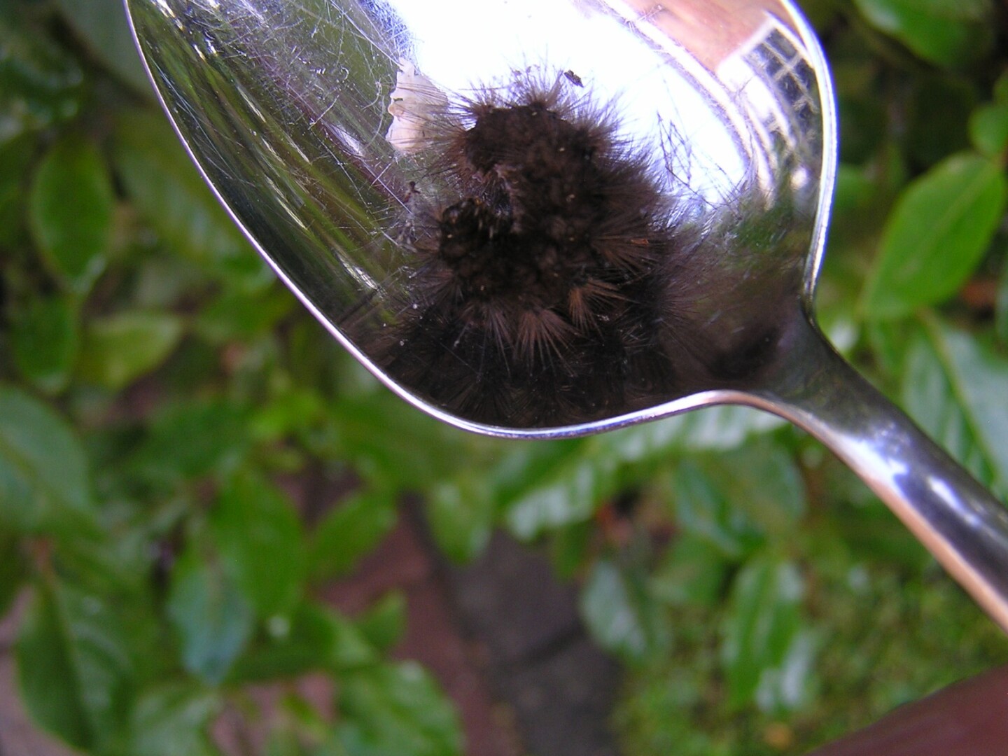 Roof up or down - Talk Morgan - Morgan Sports Cars Discussion Forum ...